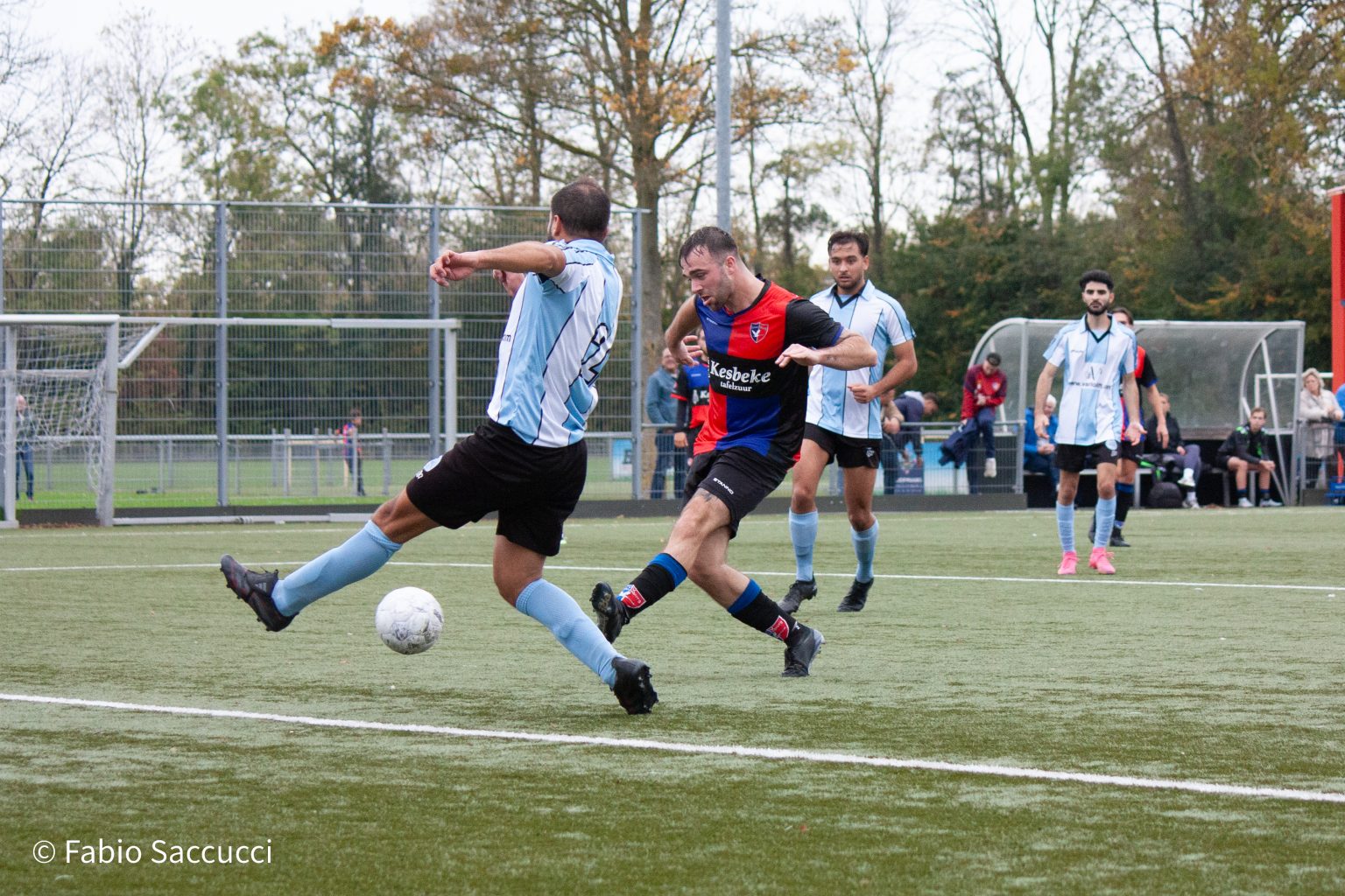 Vlug en Vaardig weggeblazen: Zwanenburg al bij rust op rozen - Het ...